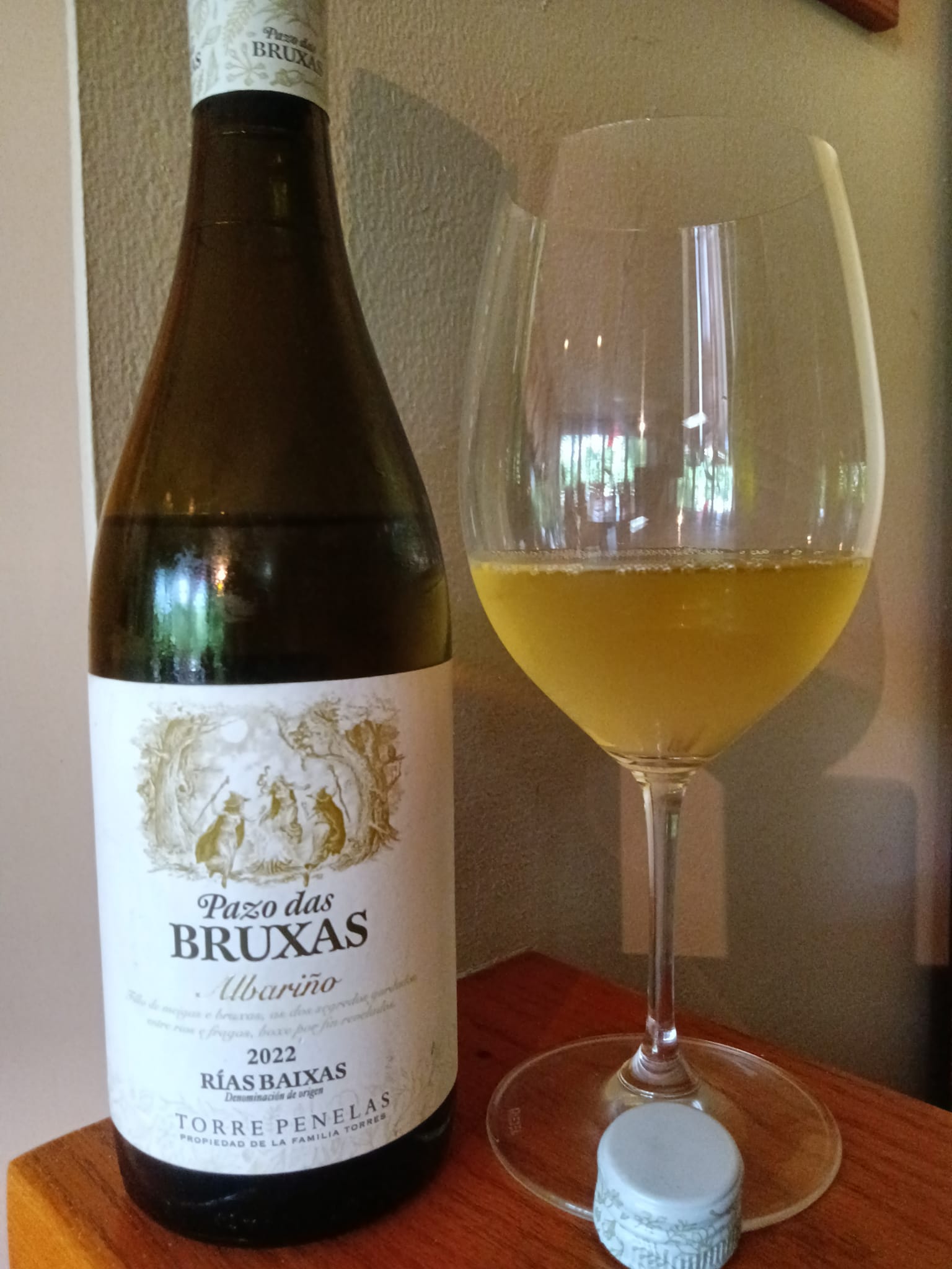 Two Excellent Spanish Wines from the House of Torres. – Vine to Table