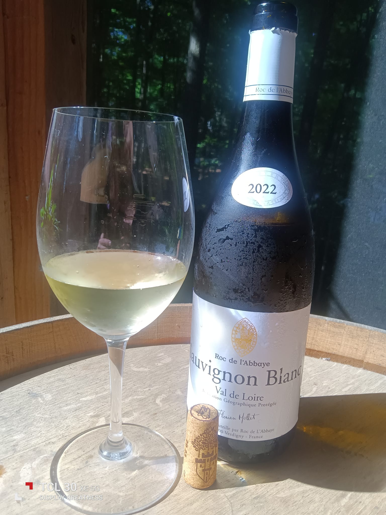 A Loire Valley Treasure: the 2022 Sauvignon Blanc. – Vine to Table