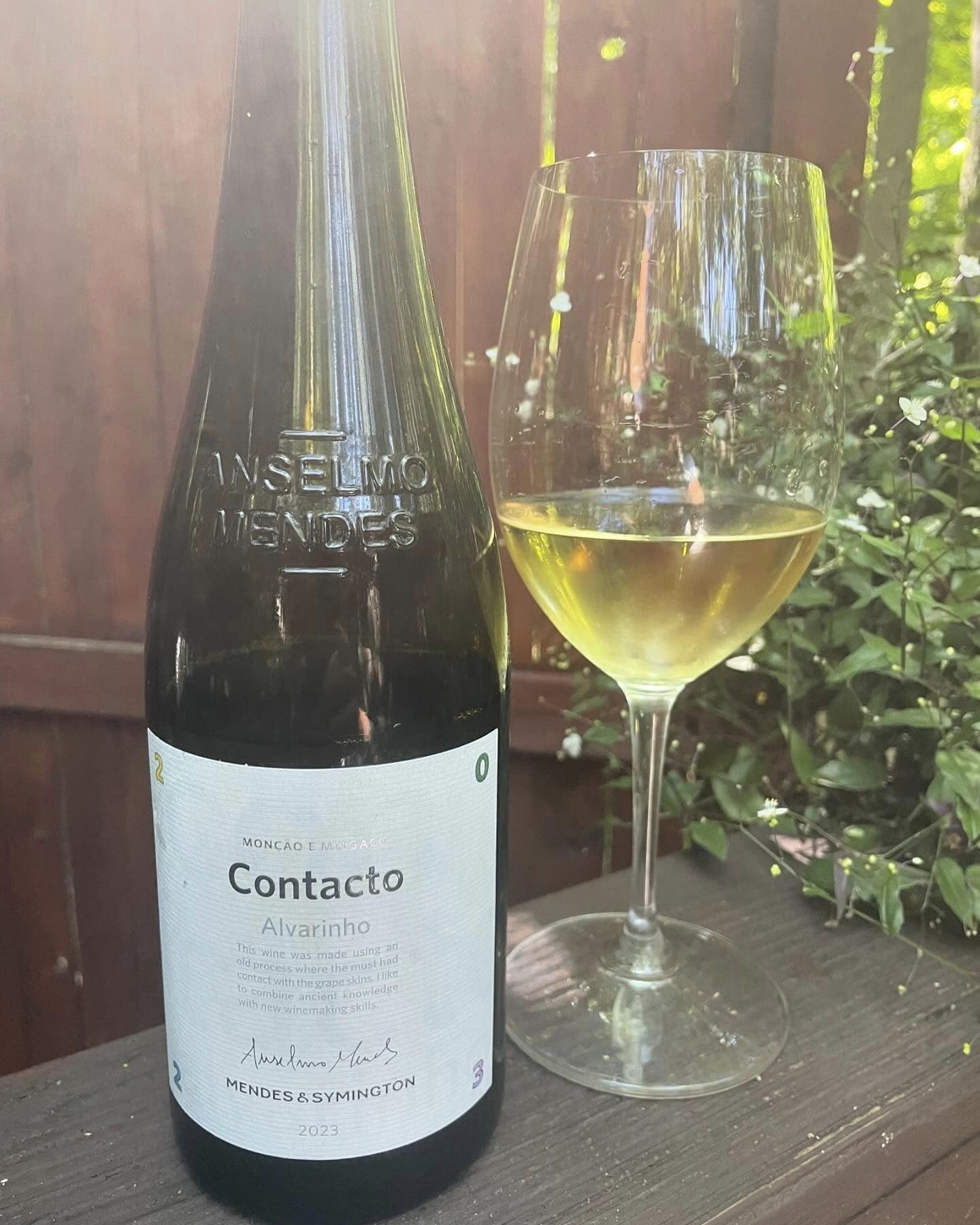 Contacto Alvarinho 2023 – An absolute delight to drink. – Vine to Table